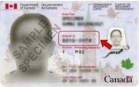 PR Card - Express Lane Immigration